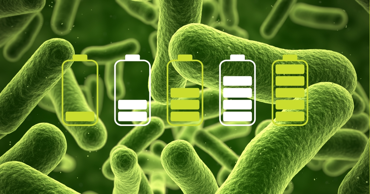 Using Bacteria to Recycle Portable Battery Packs